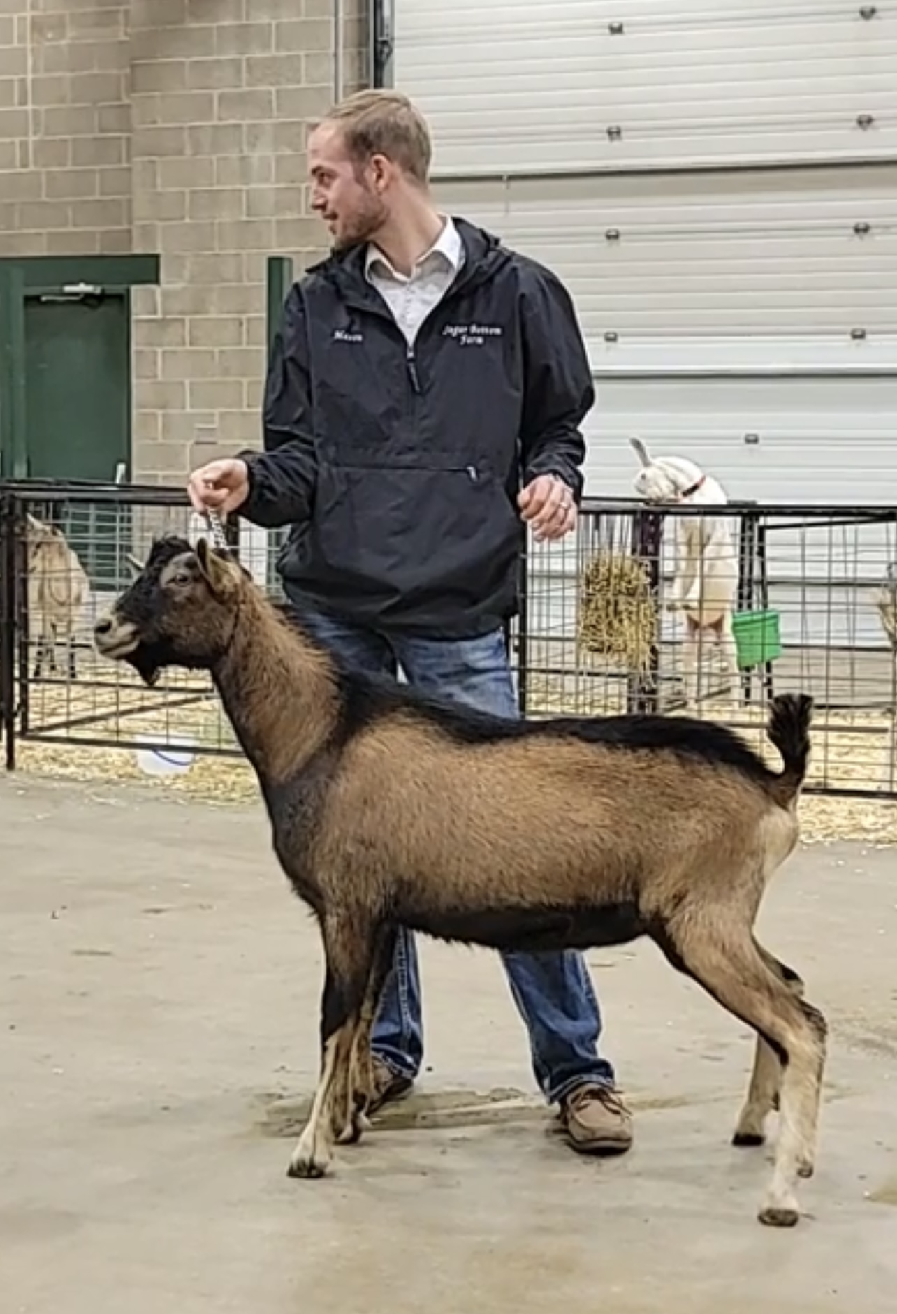 Wisconsin Dairy Goat Association